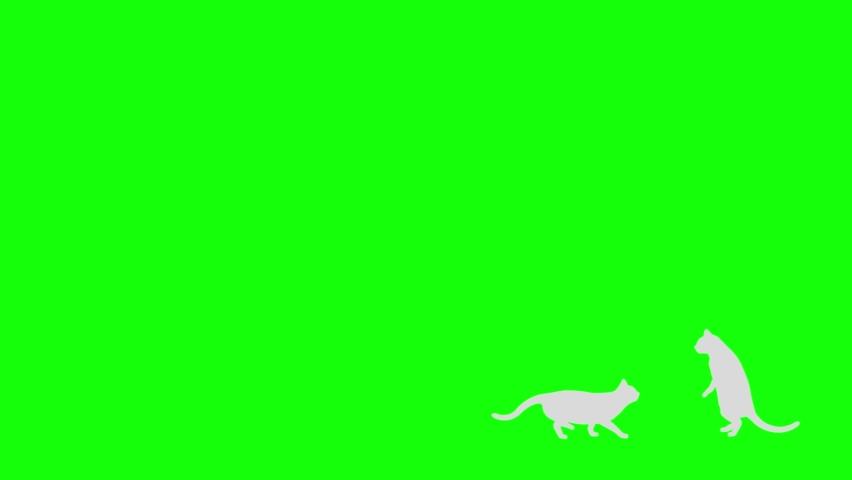 cat silhouette bipedal walk loop pattern Stock Footage Video (100% ...