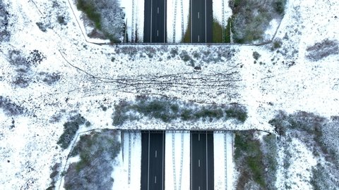 Wildlife Overpass Animal Crossing Over Highway Stock Footage Video (100 ...
