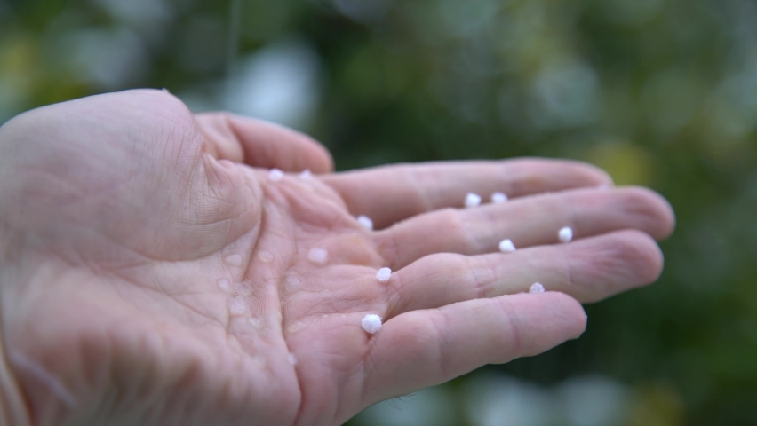 Snowflake hand Stock Video Footage - 4K and HD Video Clips | Shutterstock