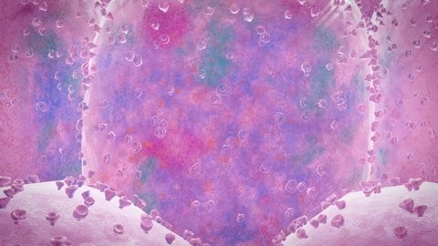 Virus Attached Cell Receptor Injecting Rna Stock Footage Video (100% ...