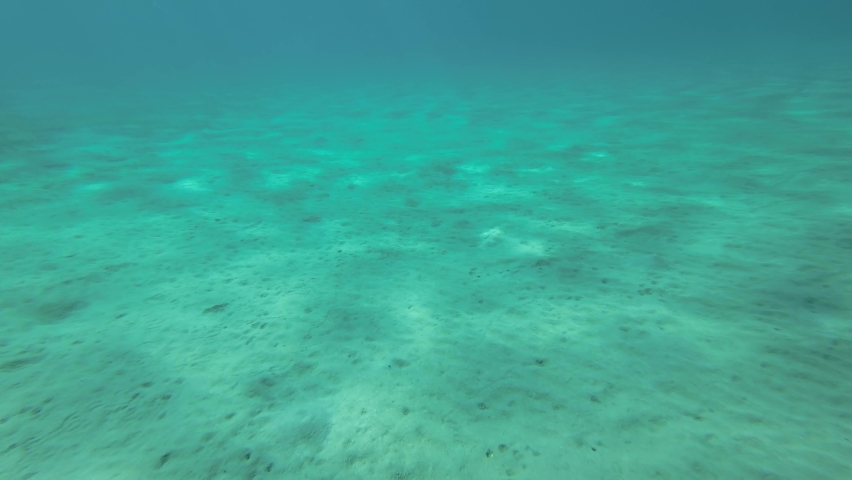 Red swash texture Stock Video Footage - 4K and HD Video Clips ...