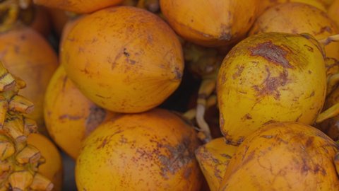 21 Sri lanka king coconut Stock Video Footage - 4K and HD Video Clips ...