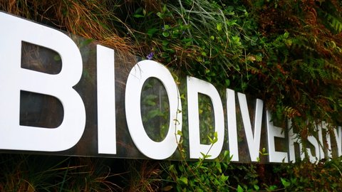 Walled Garden Biodiversity Ecosystem Signage Growth Stock Footage Video ...