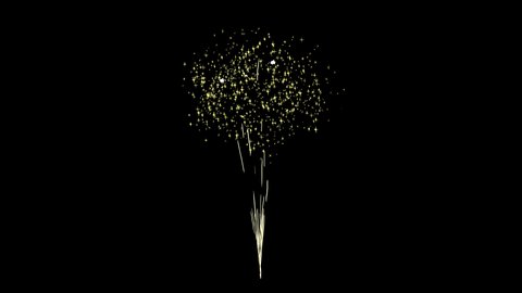 2d animation fireworks Stock Video Footage - 4K and HD Video Clips ...