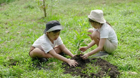 Children Join Volunteers Reforestation Earth Conservation Stock Footage ...