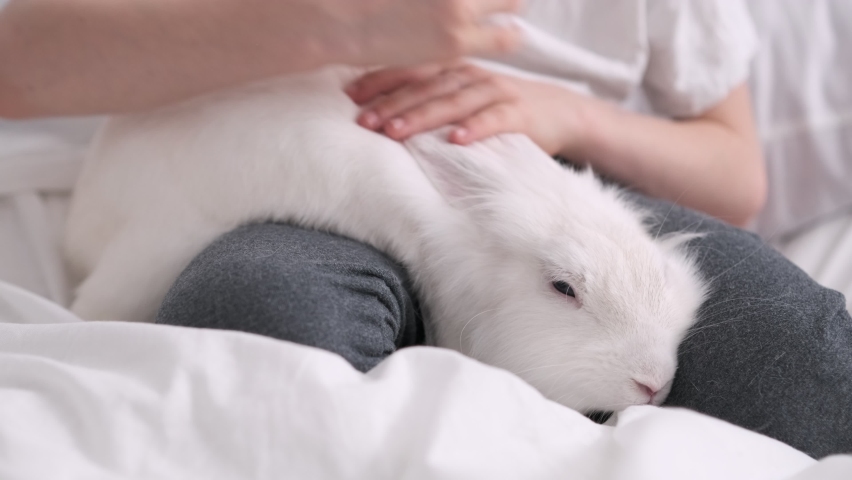 Child Holds Rabbits His Arms Strokes Stock Footage Video (100% Royalty ...