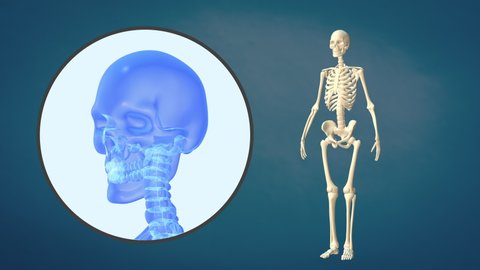 Dead body parts Stock Video Footage - 4K and HD Video Clips | Shutterstock