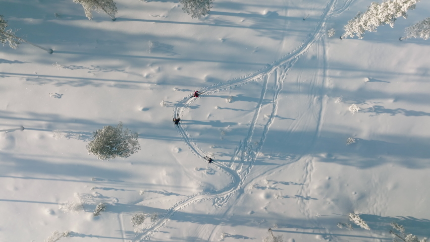 Top View Skiers Deep Snow Ground Stock Footage Video (100% Royalty-free ...