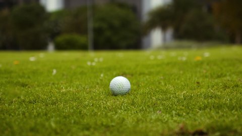 Man Playing Golf Ball Golf Club Stock Footage Video (100% Royalty-free ...