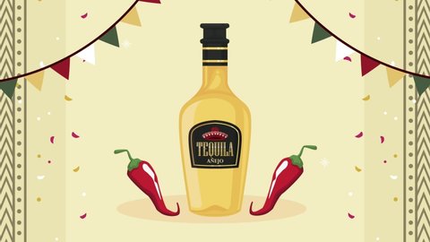 Mexican Fiesta Celebration Tequila Animation 4k Stock Footage Video ...