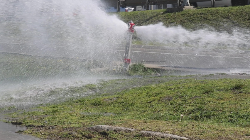 110 Fire hydrant park Stock Video Footage - 4K and HD Video Clips ...