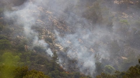 Fire Forest Scrub Areas Footage Wildfire Stock Footage Video (100% ...