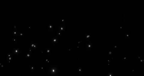 Effect Dust Particles Flying Air Video Stock Footage Video (100% ...