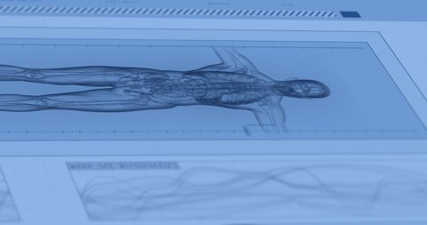 Visualization Modern Human Body Scanning System Stock Footage Video ...