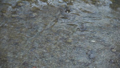 Clear Running Water River Through Which Stock Footage Video (100% ...