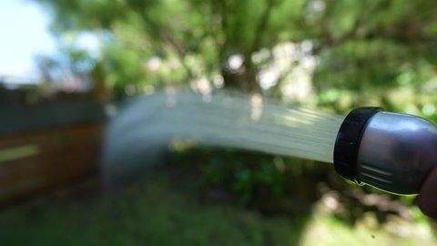 Watering Garden Hose Backyard Water Irrigation Stock Footage Video (100 ...