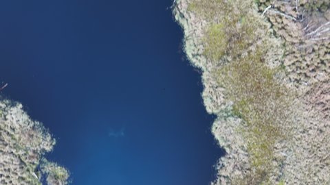 Aerial Top View National Park Swamp Stock Footage Video (100% Royalty ...