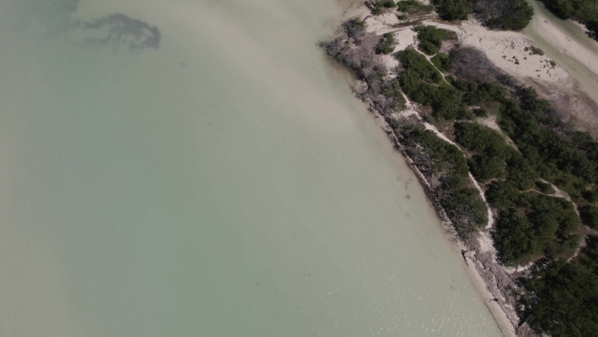 top down view lush vegetation lake Stock Footage Video (100% Royalty ...