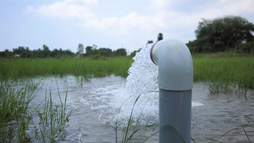 watering rice field india - water Stock Footage Video (100% Royalty ...