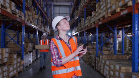 Business Concept 4k Resolution Employees Working Stock Footage Video ...