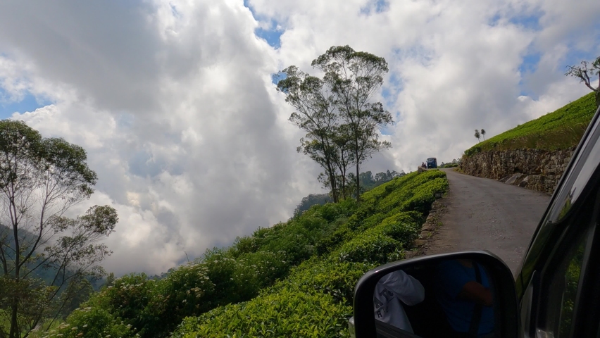 Tea garden sri lanka Stock Video Footage - 4K and HD Video Clips ...