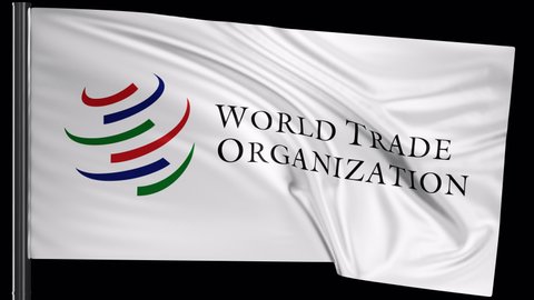 World Trade Organization Flag Waving Wind Stock Footage Video (100% ...