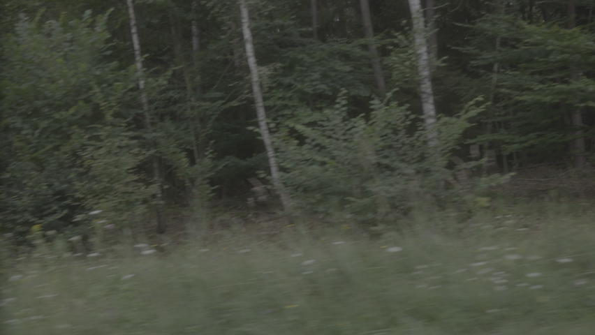 97 Slog 3 Stock Video Footage - 4K and HD Video Clips | Shutterstock