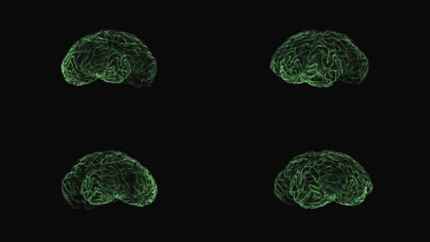 Neon Green Human Brain Transparent Structure Stock Footage Video (100% ...