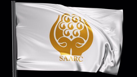 Sarc South Asian Association Regional Cooperation Stock Footage Video ...