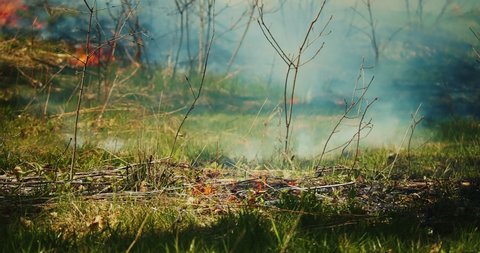 Cinematic Establishing Shot Wildfire Spreading Through Stock Footage ...