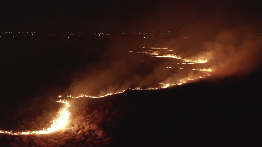 Forest Fire Videos: 4K and HD Video Clips for Download