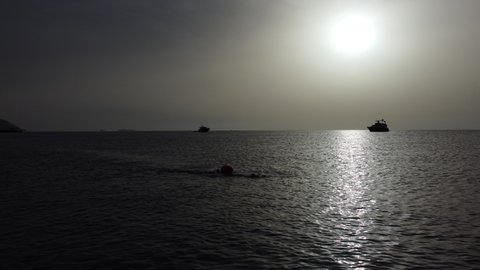 Swimmer Swims Along Shore Dawn High Stock Footage Video (100% Royalty ...