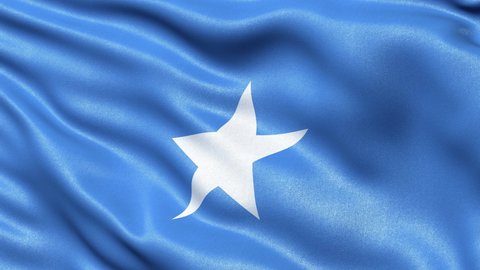 Somalia Flag Seamless Loop 3d Animation Stock Footage Video (100% ...