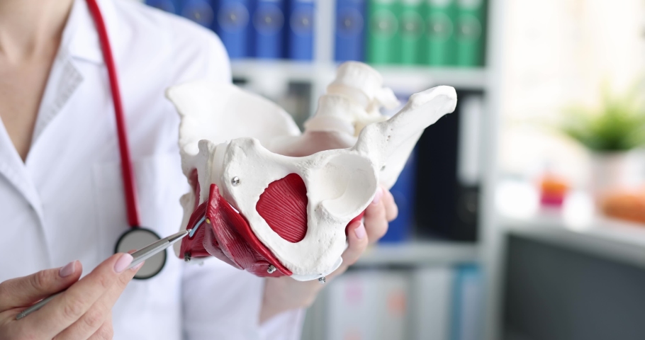 33 Pelvis birth Stock Video Footage - 4K and HD Video Clips | Shutterstock