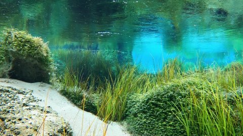 Fresh Water Source View Underwater Stock Footage Video (100% Royalty ...