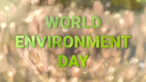 World Environment Day Word Line Isolated Stock Footage Video (100% ...
