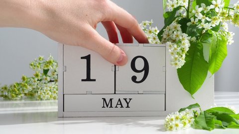 2,421 Calendar patterns Stock Video Footage - 4K and HD Video Clips ...