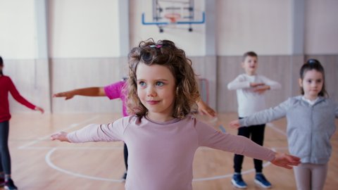 Group Elementary Students Exercising During Class Stock Footage Video ...