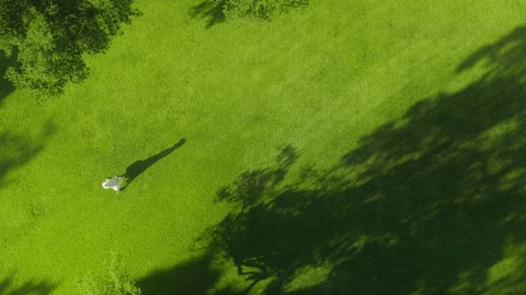 Overhead Shadow Silhouette Woman Walking By Stock Footage Video (100% ...