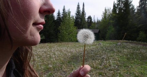 Close Side View Shot Slow Motion Stock Footage Video (100% Royalty-free ...