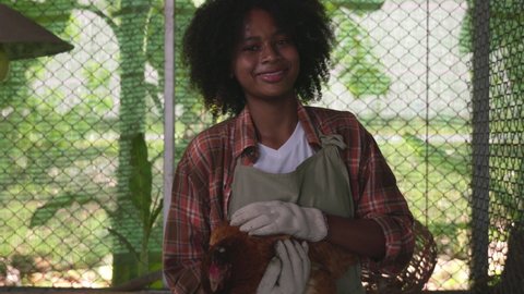 Happy Children Girl Catch Hen Farm Stock Footage Video (100% Royalty ...