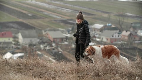 Young Woman Walking Big Dog On Stock Footage Video (100% Royalty-free ...