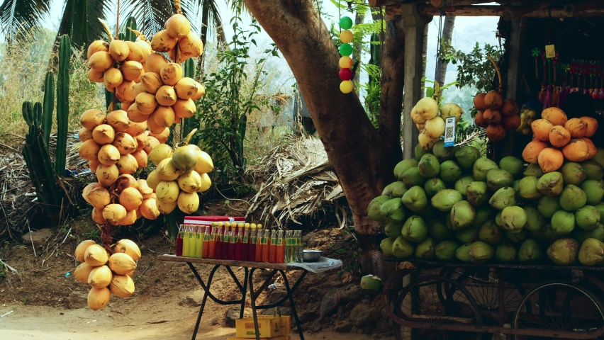 Coconut Farm Stock Video Footage | Royalty Free Coconut Farm Videos | Pond5