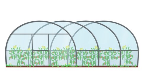 Greenhouse Animation Growing Plants Gardening Alpha Stock Footage Video ...