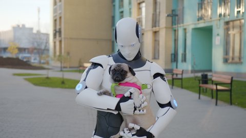 Portrait Humanoid Robot Pug Dog Hands Stock Footage Video (100% Royalty ...