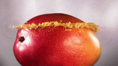 Mango Slice Falling Splashing On White Stock Footage Video (100% ...