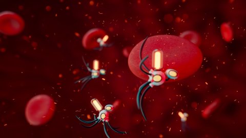 Animation Militarized Nanobots Destroying Blood Cells Stock Footage ...