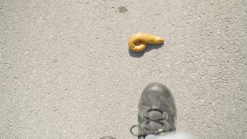 Step on poop Stock Video Footage - 4K and HD Video Clips | Shutterstock