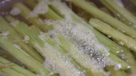 Fuki Japanese Wild Edible Plants Video Stock Footage Video (100% ...