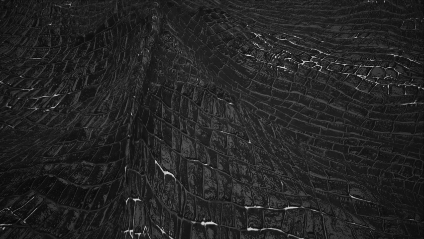 3 Grey Limbo Background Stock Video Footage - 4K and HD Video Clips ...